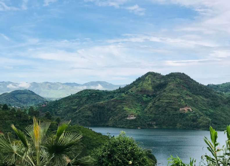 Single Origin Coffee – Dancing Ox Coffee Roasters