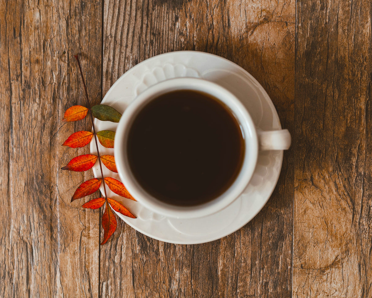 MEDIUM ROAST – Dancing Ox Coffee Roasters